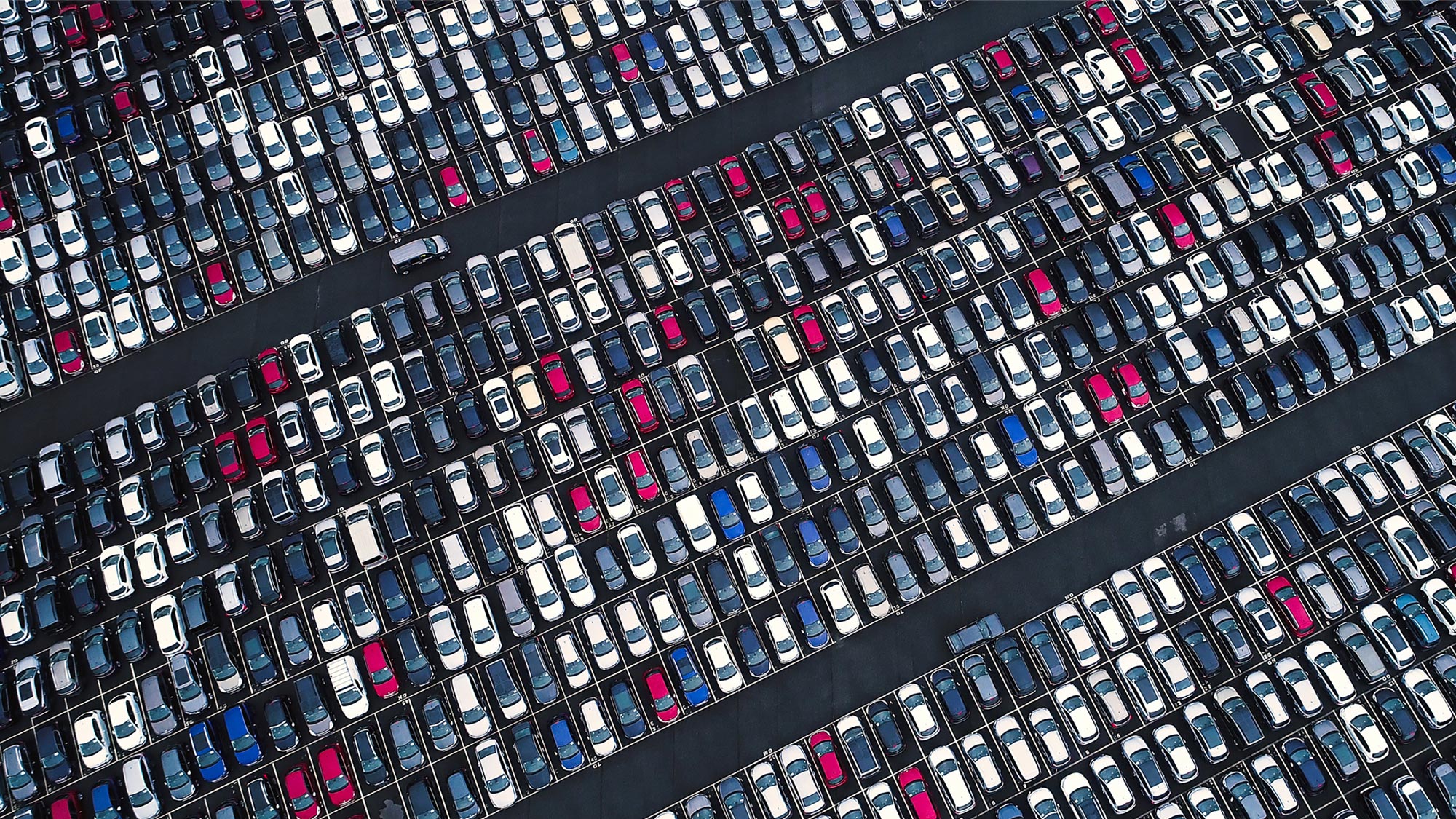 How Regit increased sales conversions with AI | Peak