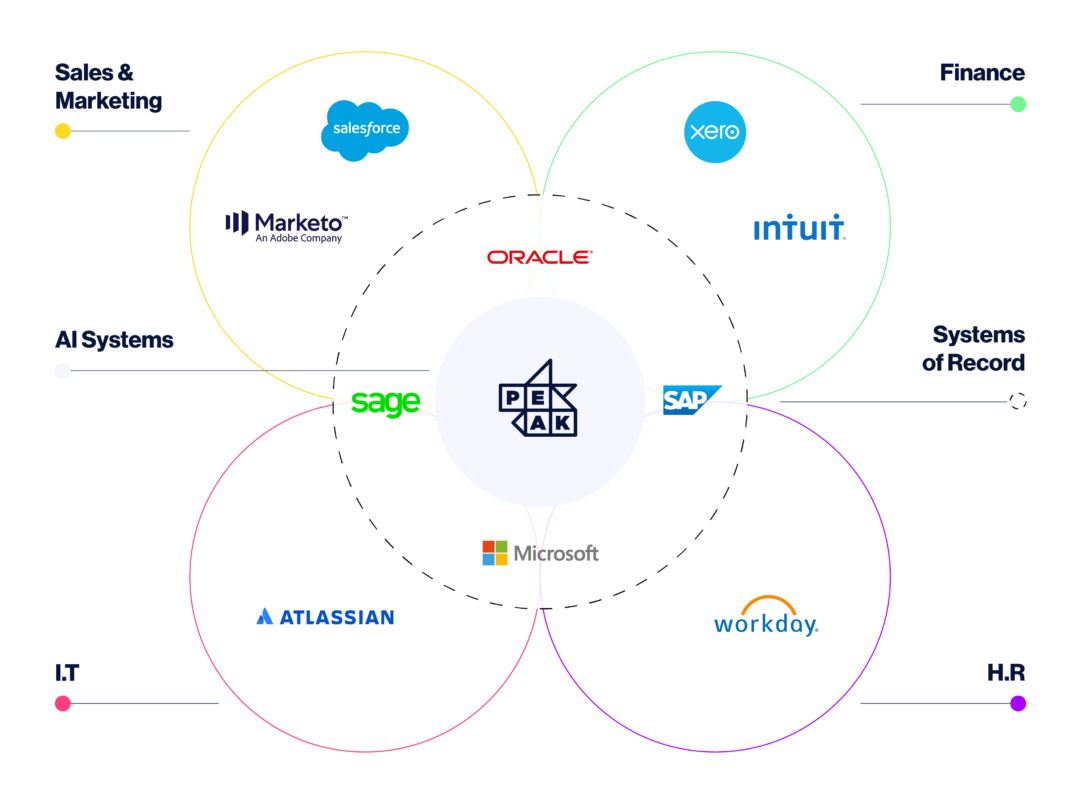 The AI System: The future of the enterprise - Peak