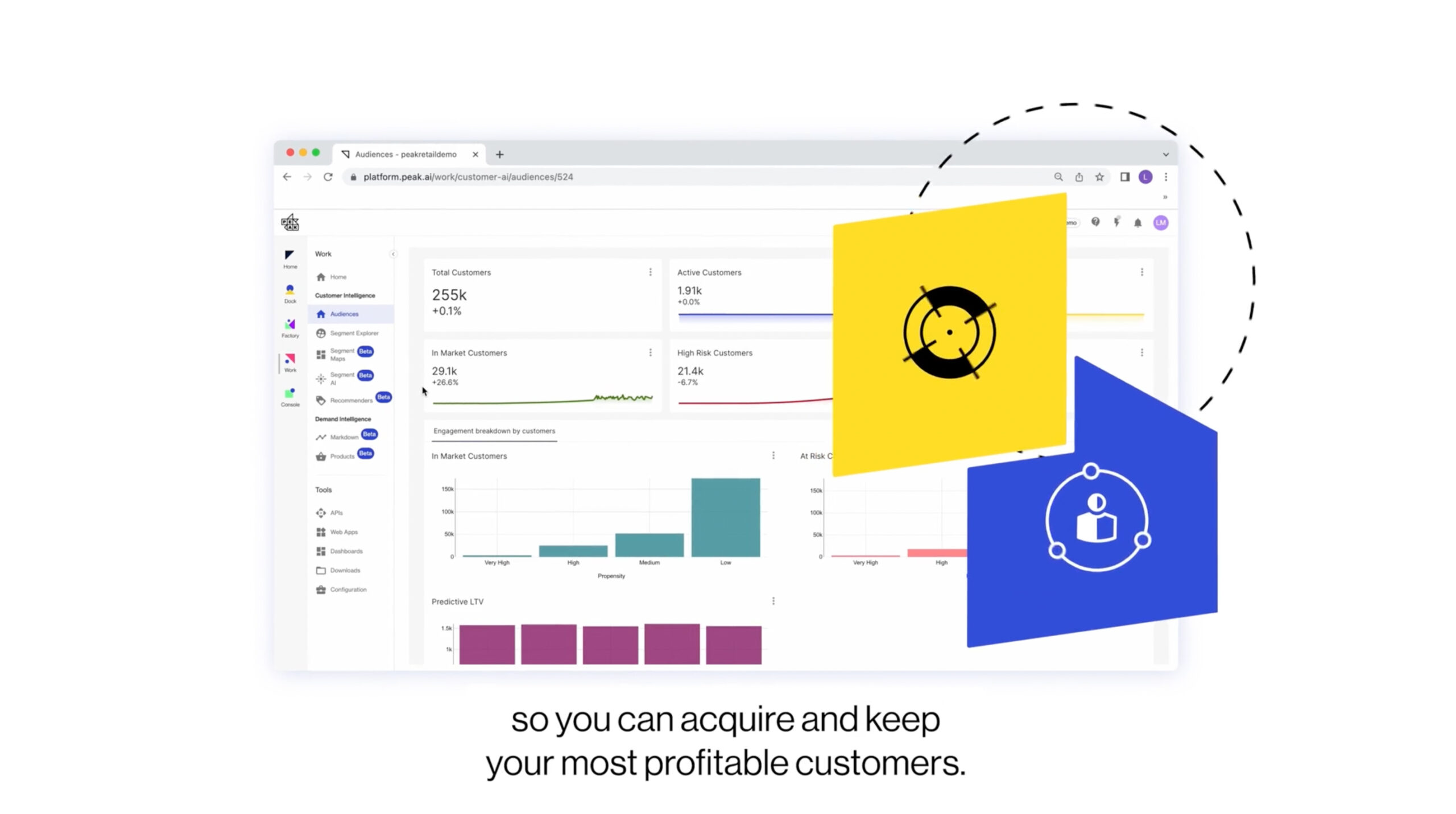 Audiences — technical info - Peak